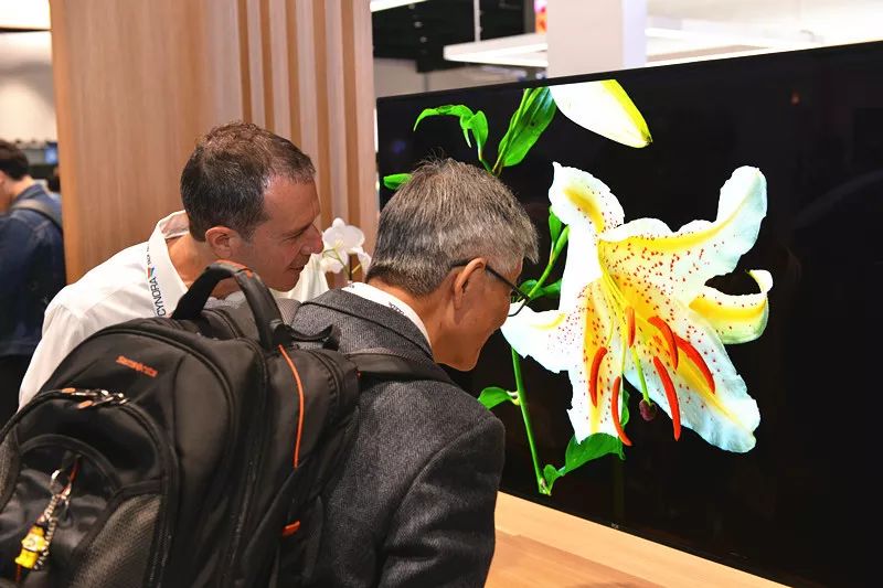 直击SID | BOE（京东方）、LGD篇 - 行家说